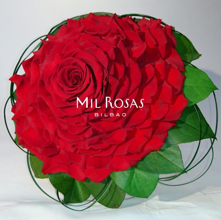 Aída - Mil Rosas Bilbao | Tu Floristería Online